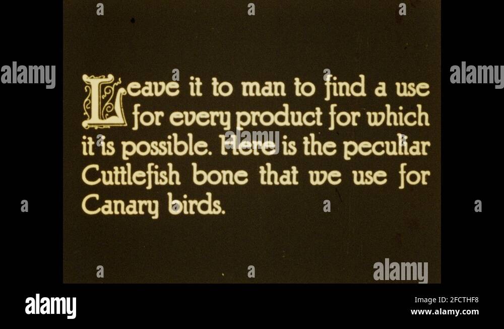 Dissect Stock Videos & Footage - HD and 4K Video Clips - Alamy