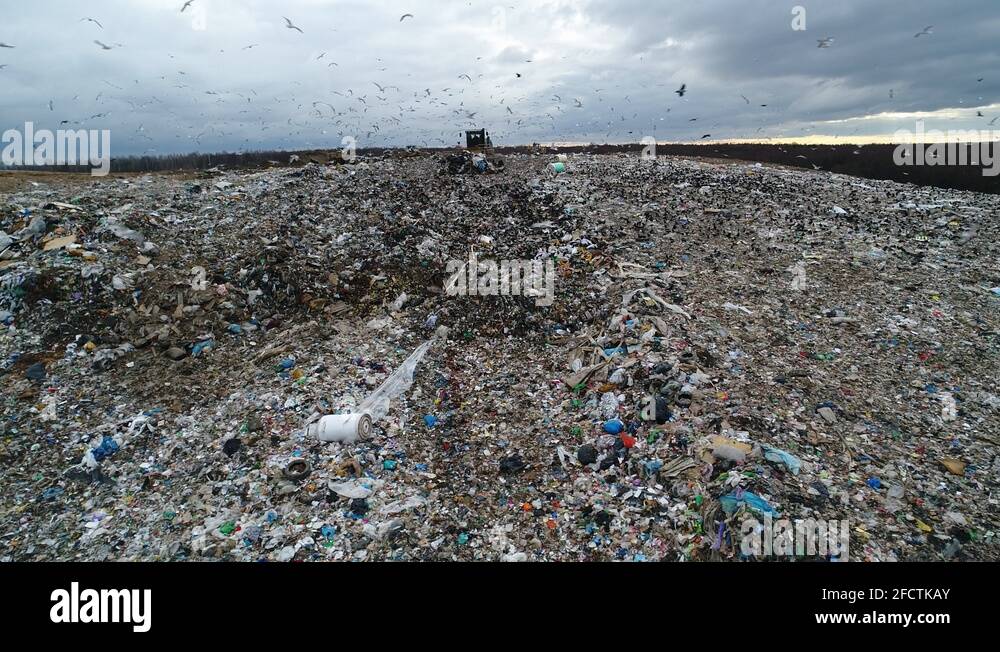 Waste dump birds Stock Videos & Footage - HD and 4K Video Clips - Alamy