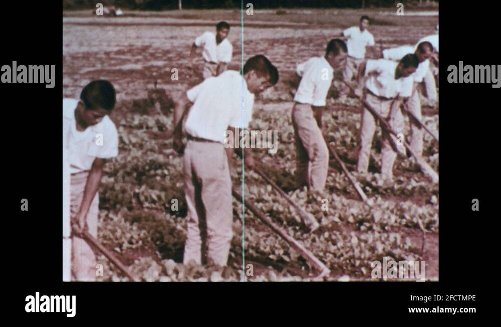 China farming 1960s Stock Videos & Footage - HD and 4K Video Clips - Alamy