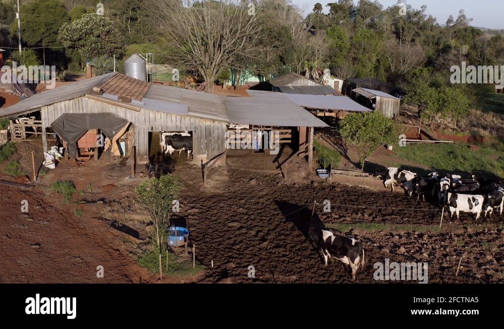 Traditional dairy Stock Videos & Footage - HD and 4K Video Clips - Alamy
