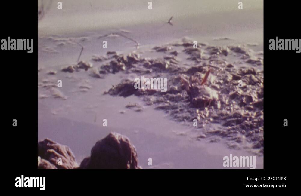 Sludge dam Stock Videos & Footage - HD and 4K Video Clips - Alamy