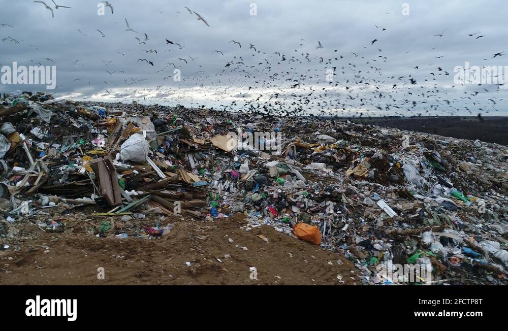 Bury waste dump Stock Videos & Footage - HD and 4K Video Clips - Alamy