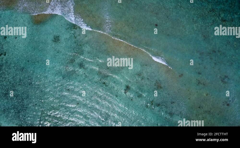 Bird's Eye View of Shallow Gorgeous Reef - Documentary Sea Animals ...