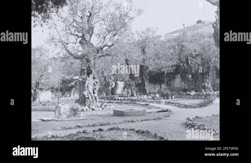 People structures Stock Videos & Footage - HD and 4K Video Clips - Alamy