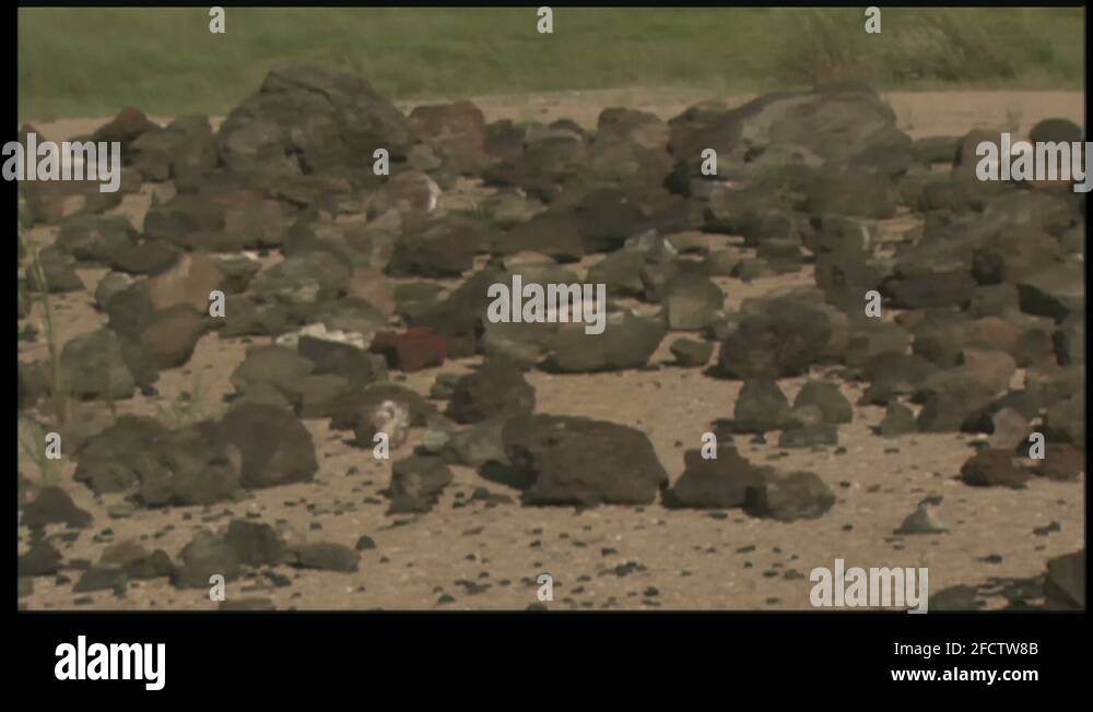 2000s beach Stock Videos & Footage - HD and 4K Video Clips - Alamy