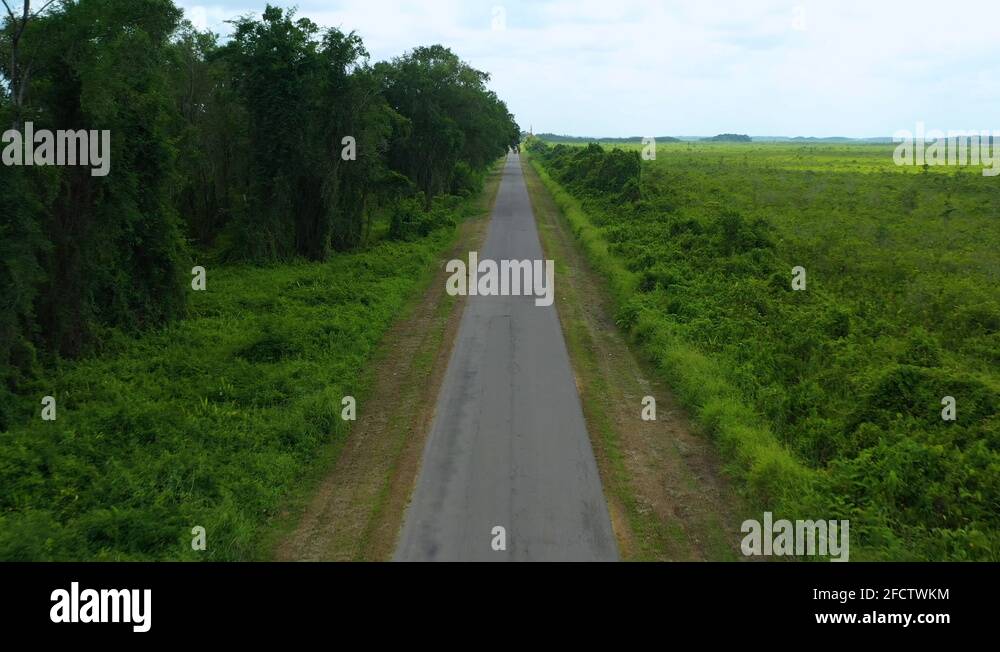 Road through rainforest Stock Videos & Footage - HD and 4K Video Clips ...