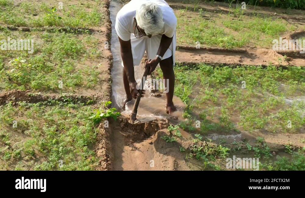 Traditional irrigation Stock Videos & Footage - HD and 4K Video Clips ...