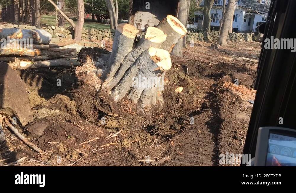 Stump pulling machine Stock Videos & Footage - HD and 4K Video Clips ...