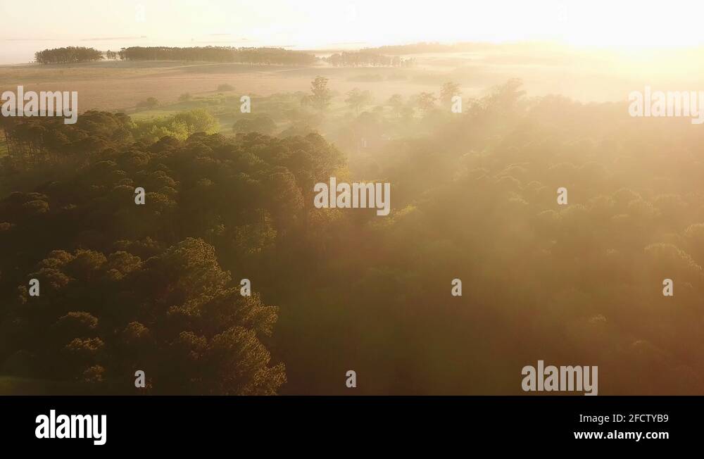 Mist house Stock Videos & Footage - HD and 4K Video Clips - Alamy