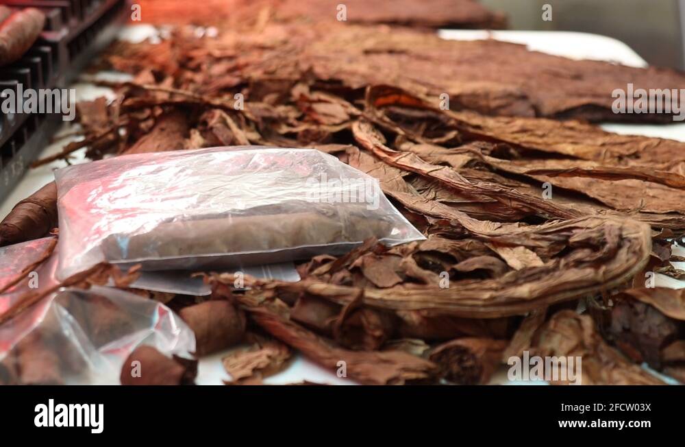 Cured people Stock Videos & Footage - HD and 4K Video Clips - Alamy