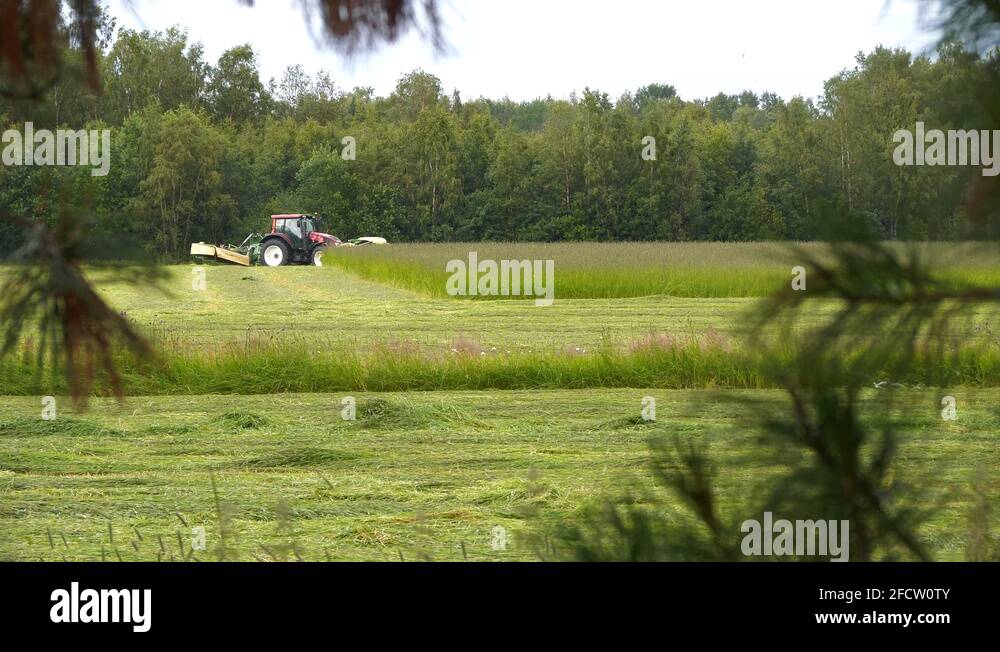 Harvesting long grass Stock Videos & Footage - HD and 4K Video Clips ...