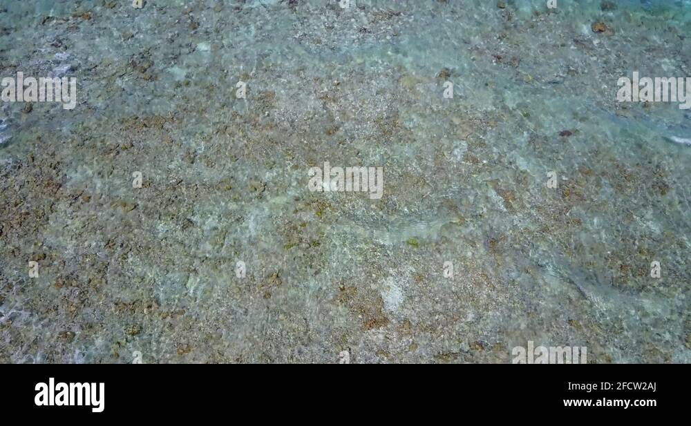 Footage of the Green Shallow Waves With Rocks And Coral Reefs in Cuba ...