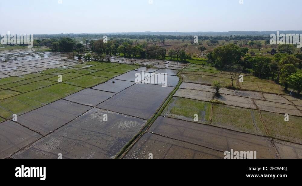 Farming asia Stock Videos & Footage - HD and 4K Video Clips - Alamy