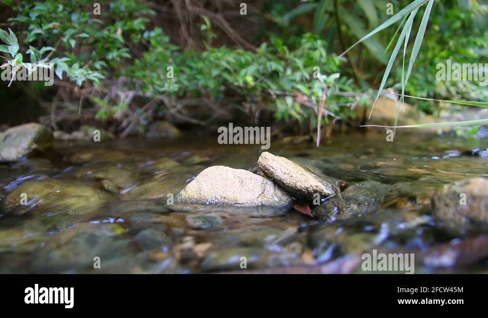 Water flowing through stones Stock Videos & Footage - HD and 4K Video ...