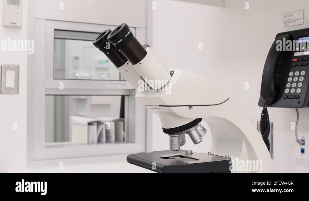 Laboratory setting Stock Videos & Footage - HD and 4K Video Clips - Alamy