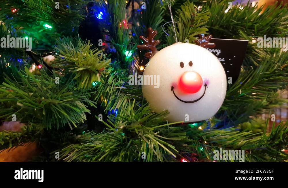 Nose tree Stock Videos & Footage - HD and 4K Video Clips - Alamy