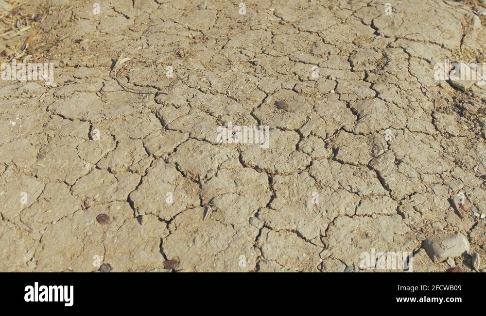 Cracking ground Stock Videos & Footage - HD and 4K Video Clips - Alamy