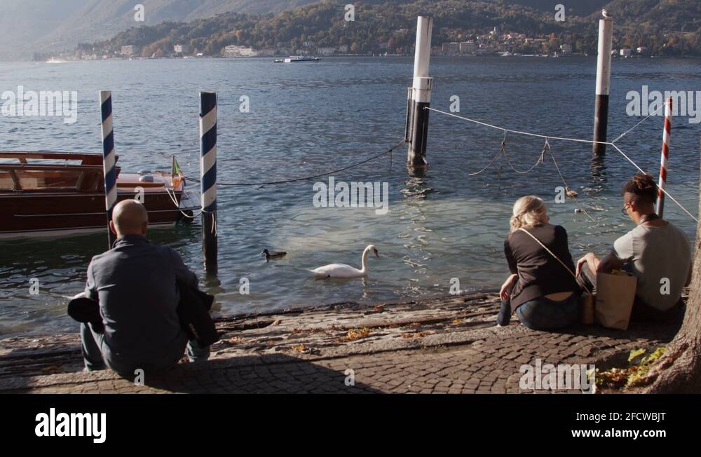 People and three swans Stock Videos & Footage - HD and 4K Video Clips ... People and three swans Stock Videos & Footage - HD and 4K Video Clips ...