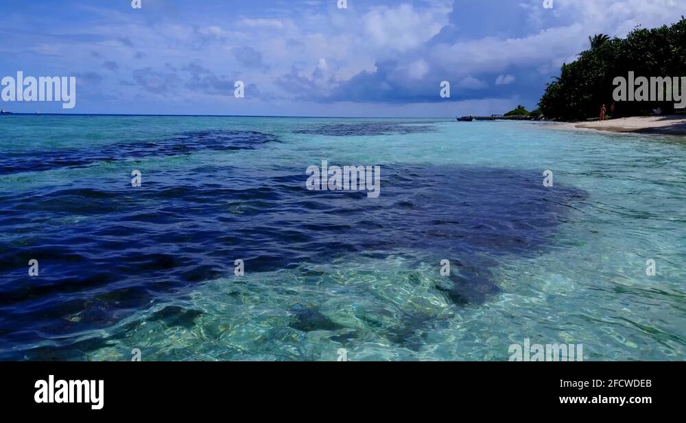 Dark green algae Stock Videos & Footage - HD and 4K Video Clips - Alamy