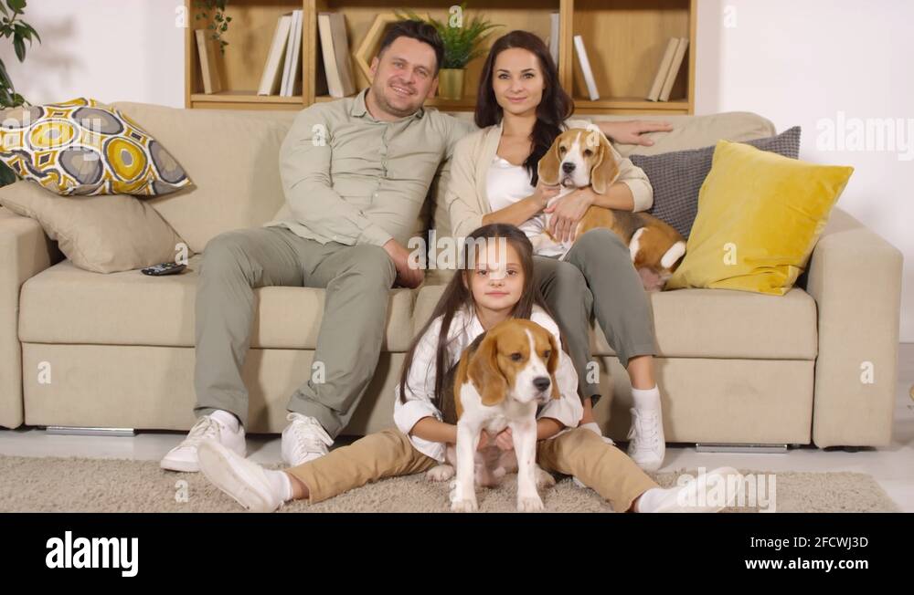 Dogs family portrait Stock Videos & Footage - HD and 4K Video Clips - Alamy