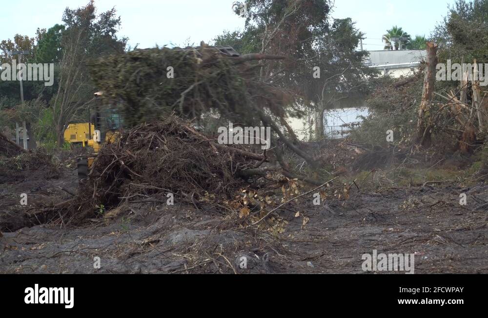 Clearing trees for construction Stock Videos & Footage - HD and 4K ...