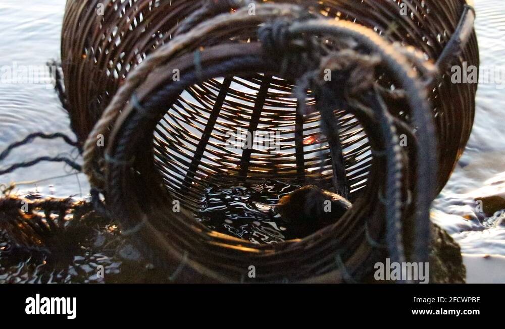 Inside a woven basket Stock Videos & Footage - HD and 4K Video Clips ...
