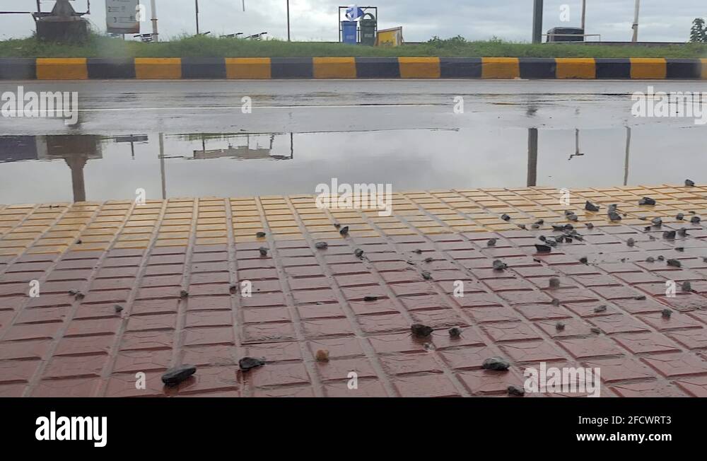 Drain monsoon Stock Videos & Footage - HD and 4K Video Clips - Alamy
