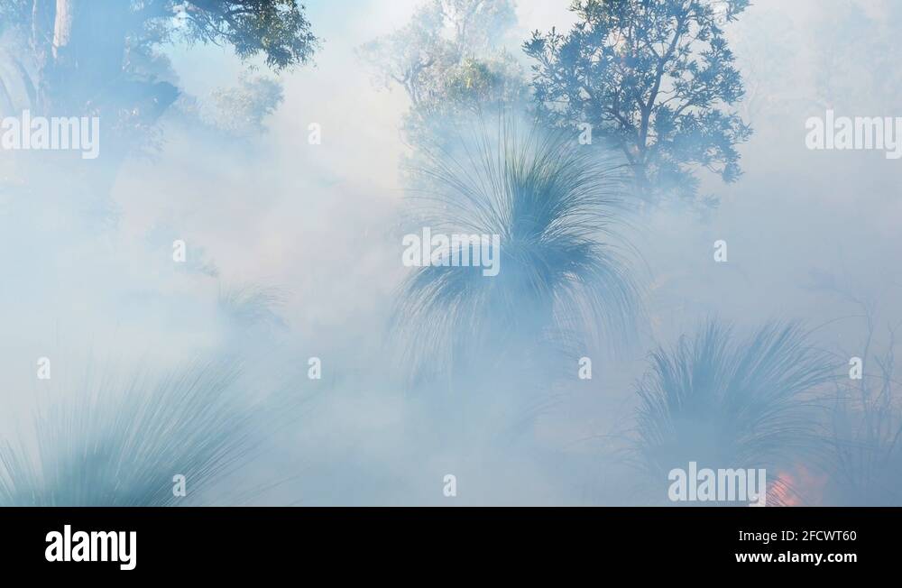 Cool burn australia Stock Videos & Footage - HD and 4K Video Clips - Alamy