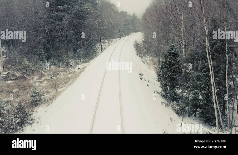 Forestry tracks Stock Videos & Footage - HD and 4K Video Clips - Alamy