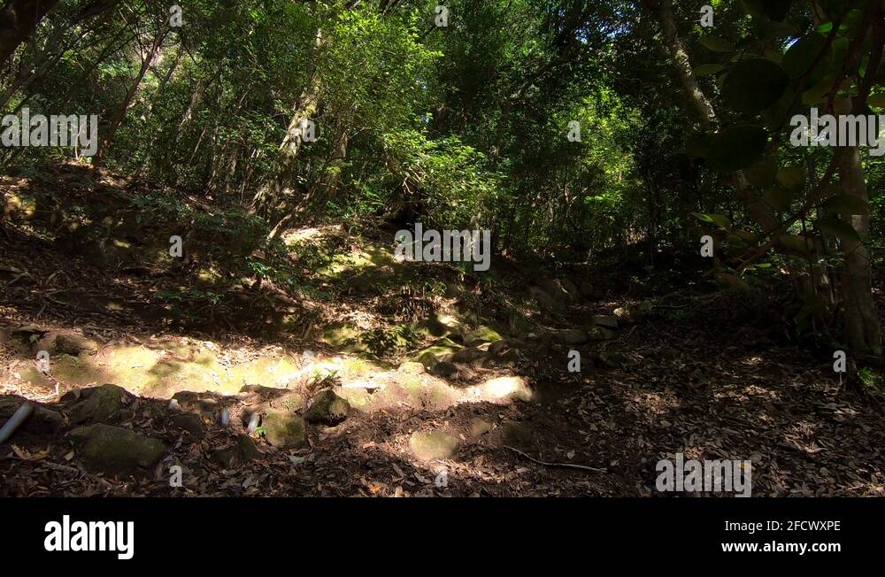 Trek hike walk travel environment scenic view Stock Videos & Footage ...