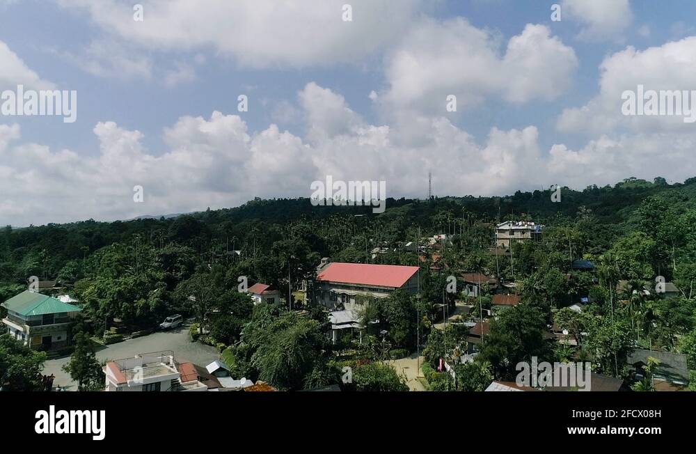 Houses of Indian village, built under tall trees of dense tropical ...