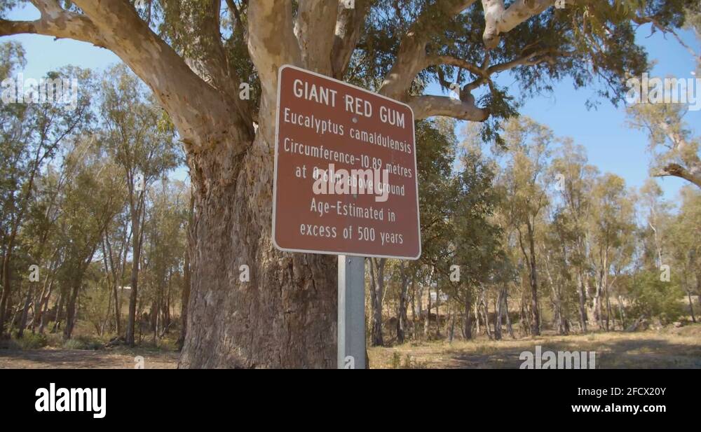 500 years of history Stock Videos & Footage - HD and 4K Video Clips - Alamy