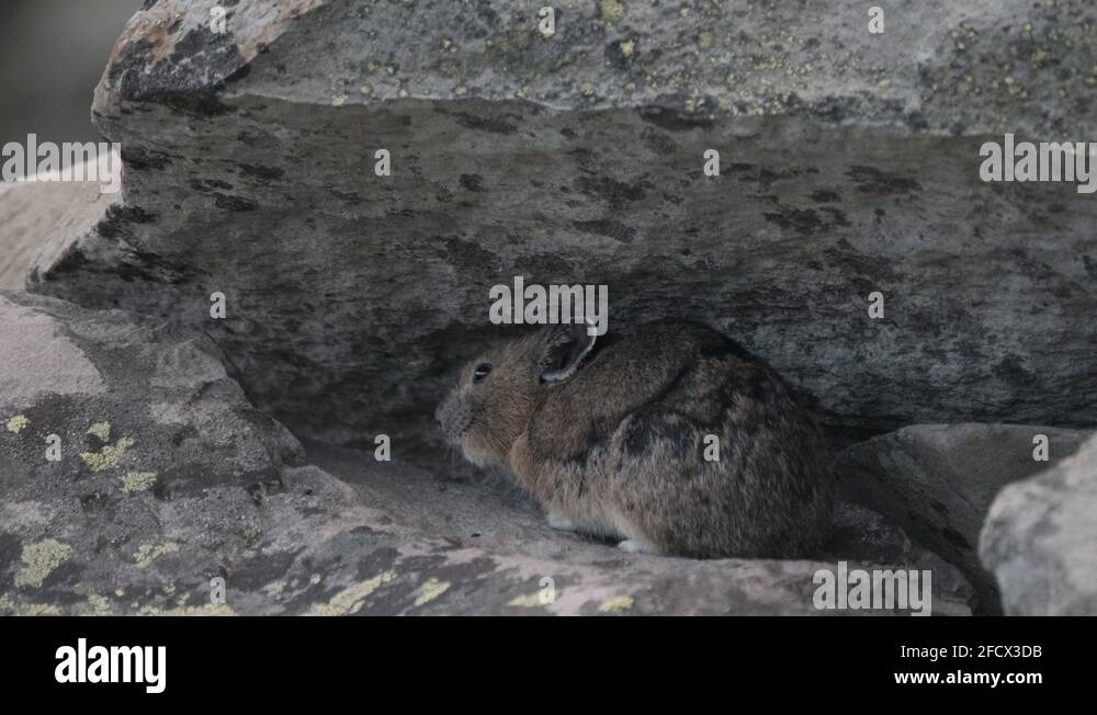 High elevation landscape Stock Videos & Footage - HD and 4K Video Clips ...