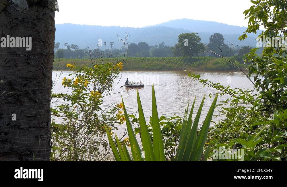 Eastern ghats Stock Videos & Footage - HD and 4K Video Clips - Alamy
