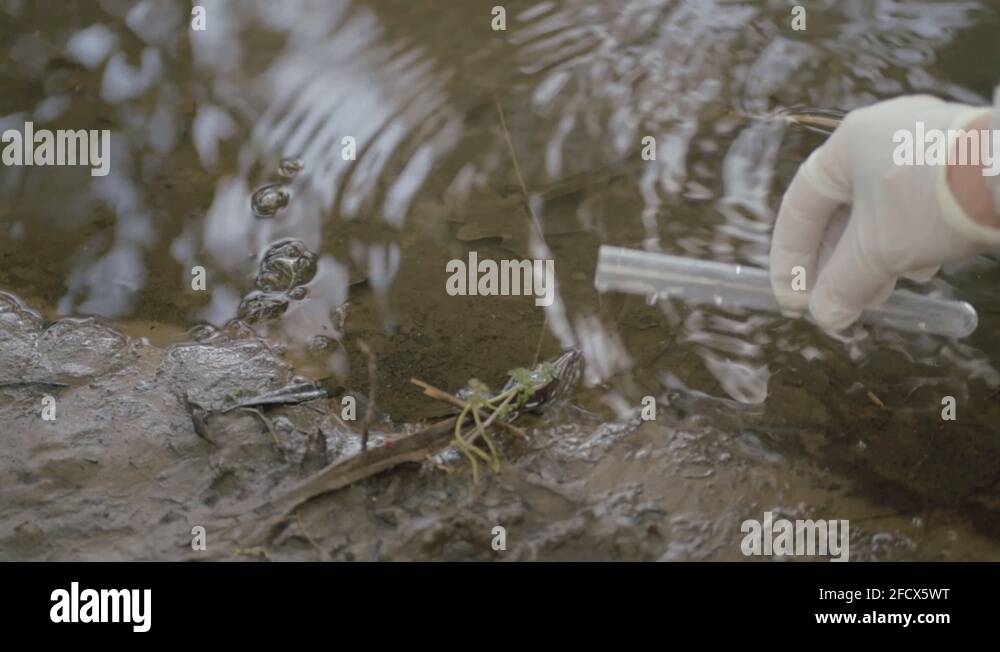 Water sample testing Stock Videos & Footage - HD and 4K Video Clips - Alamy