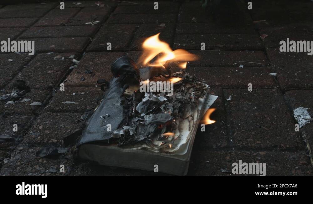 bible,holy bible,burn,book burning,antichrist,bible Stock Video Footage ...