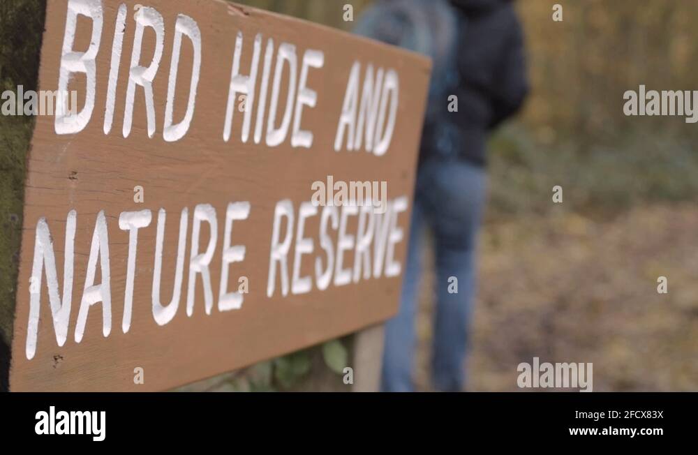 Wildlife reserve visitor Stock Videos & Footage - HD and 4K Video Clips ...