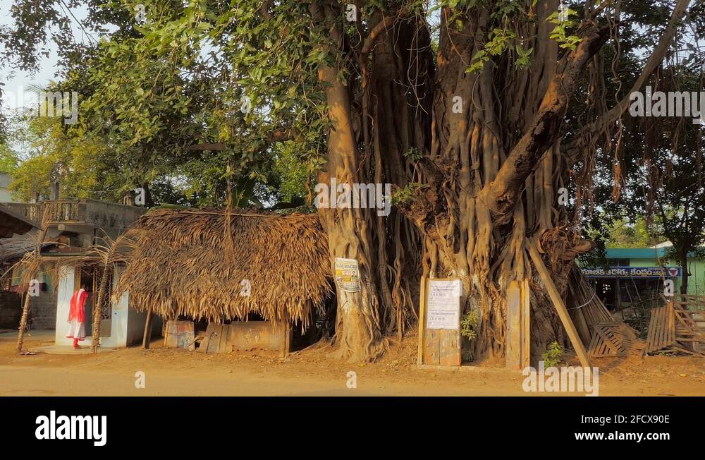 Roadside temple Stock Videos & Footage - HD and 4K Video Clips - Alamy