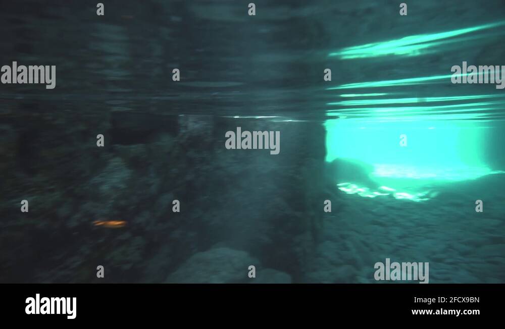Atlantis ruins Stock Videos & Footage - HD and 4K Video Clips - Alamy