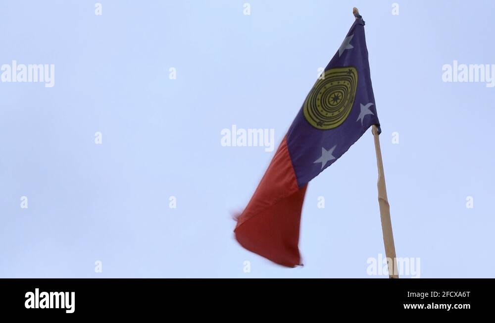 Bamboo flag Stock Videos & Footage - HD and 4K Video Clips - Alamy