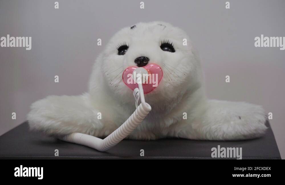 Seal robot Stock Videos & Footage - HD and 4K Video Clips - Alamy