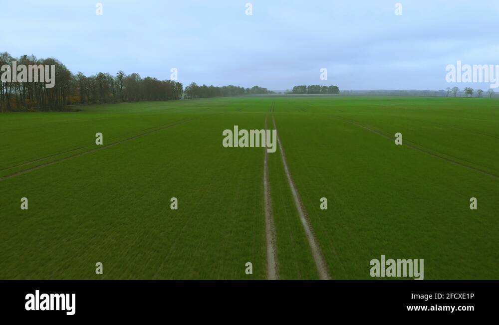 Cereal wheel Stock Videos & Footage - HD and 4K Video Clips - Alamy