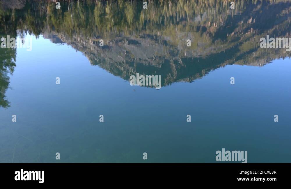 Bubble scenery Stock Videos & Footage - HD and 4K Video Clips - Alamy