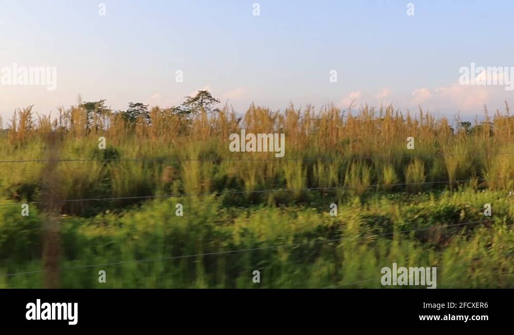 Traking Stock Videos & Footage - HD and 4K Video Clips - Alamy