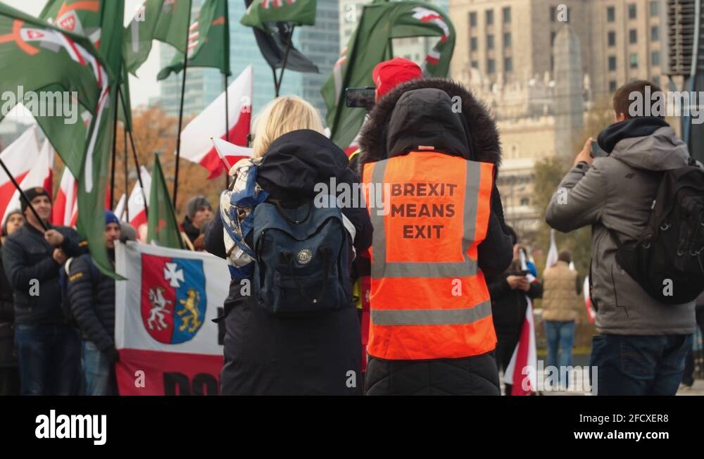 Crowd of people waving flags Stock Videos & Footage - HD and 4K Video ...