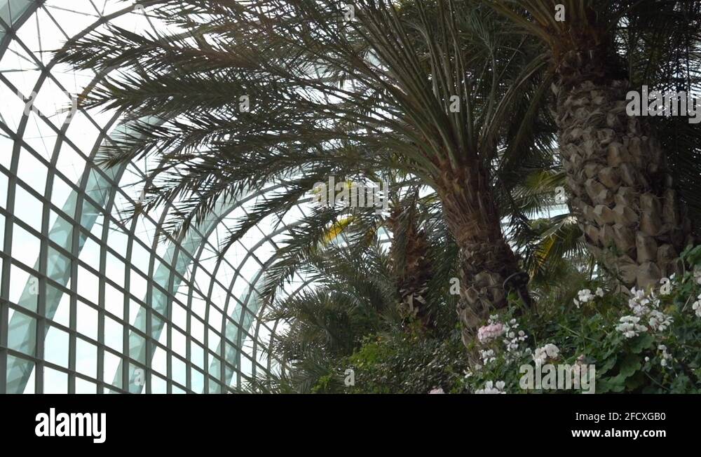 Flower dome singapore gardens by the bay Stock Videos & Footage - HD ...