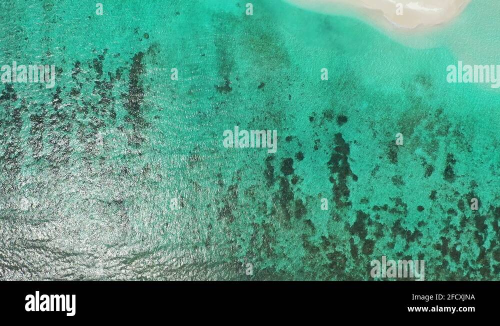Sea texture with beautiful pattern created by coral reefs and small ...