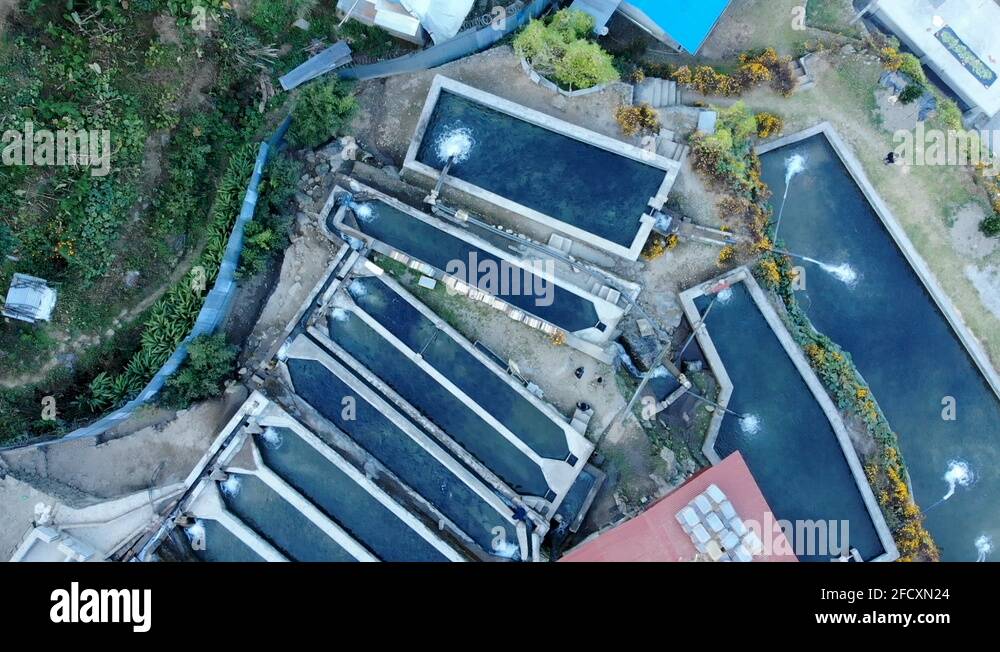 Fish farm in rural mountain region of Nepal. Aerial view of Cat fish ...