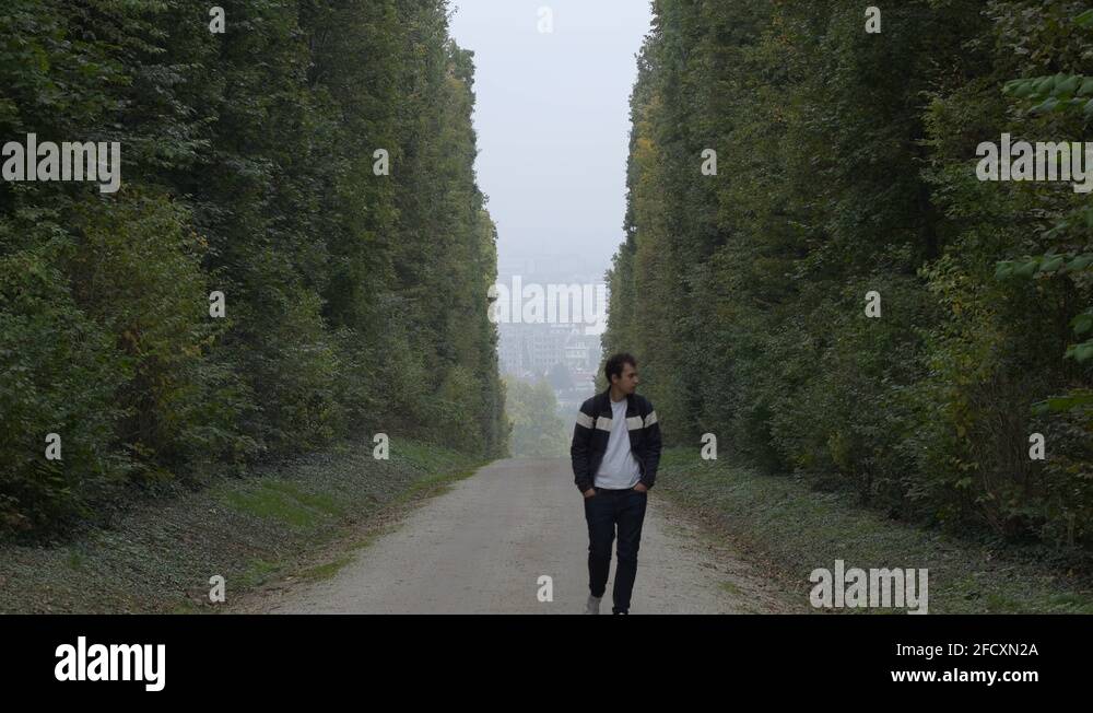 Foggy pathway Stock Videos & Footage - HD and 4K Video Clips - Alamy