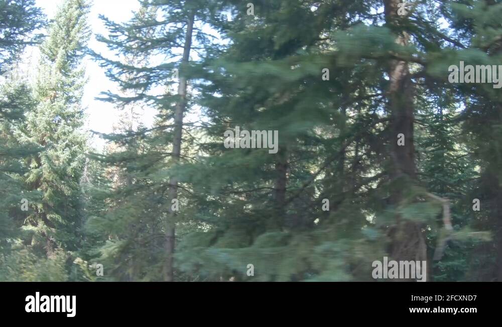Roadside trail Stock Videos & Footage - HD and 4K Video Clips - Alamy